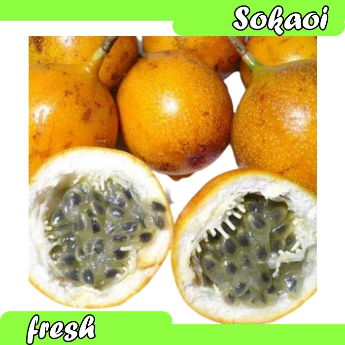 Jual BUAH MARKISA SEGAR MARKISA MANIS | Shopee Indonesia