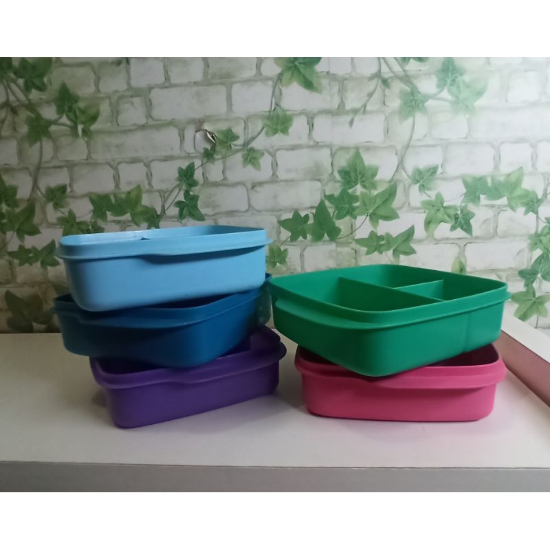 Jual BASE LOLLY TUB TUPPERWARE SECOND | Shopee Indonesia