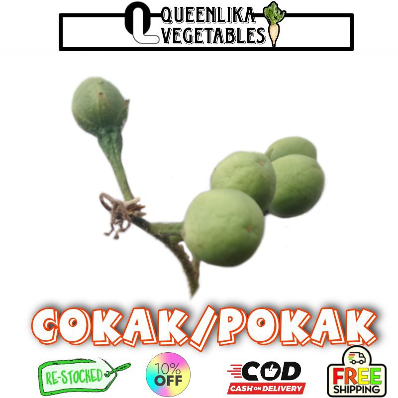 Jual takokak/buah rimbang/pokak terong cepokak 250g | Shopee Indonesia