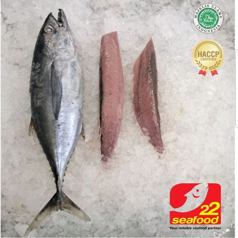 Jual Ikan Baby Tuna Fillet 500 gr / Seafood 22 | Shopee Indonesia