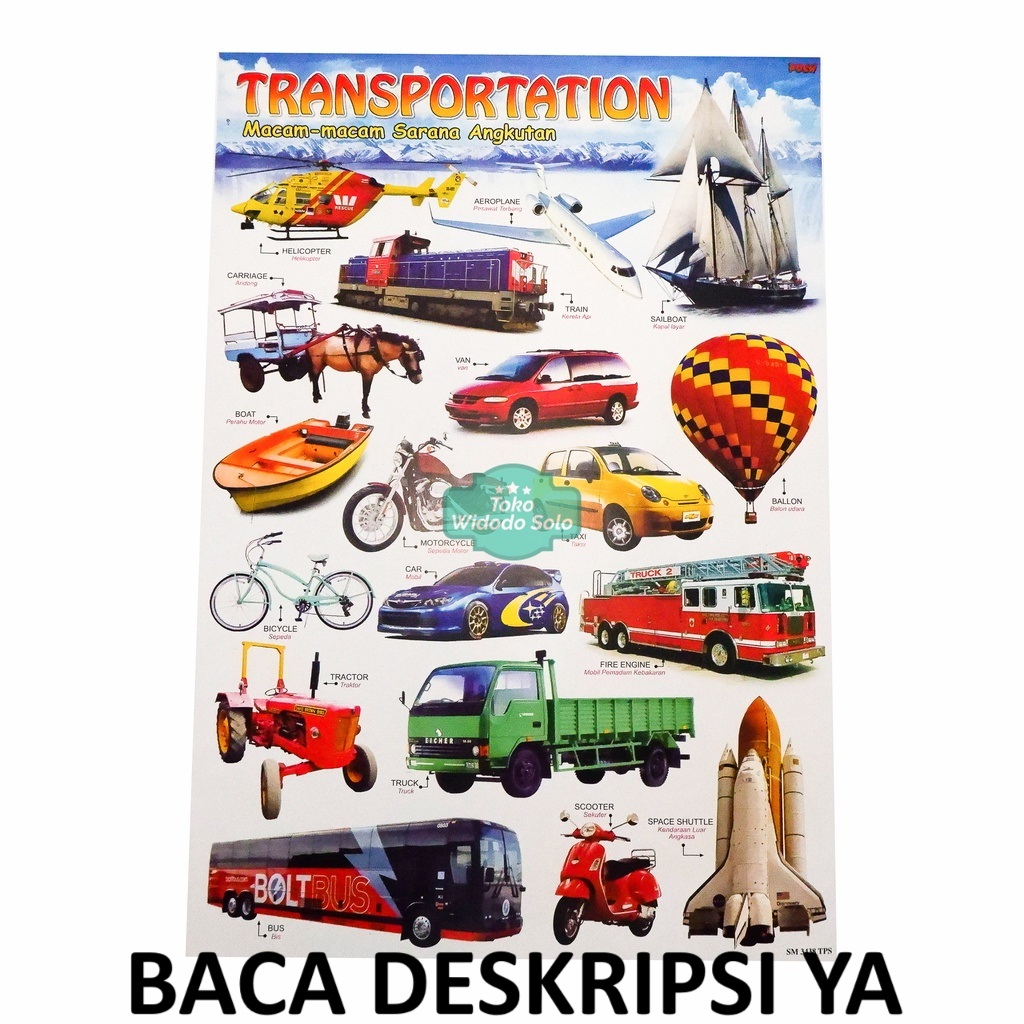 Jual Poster Edukasi Sarana Transportasi 35x50cm - 1 Lembar | Shopee ...