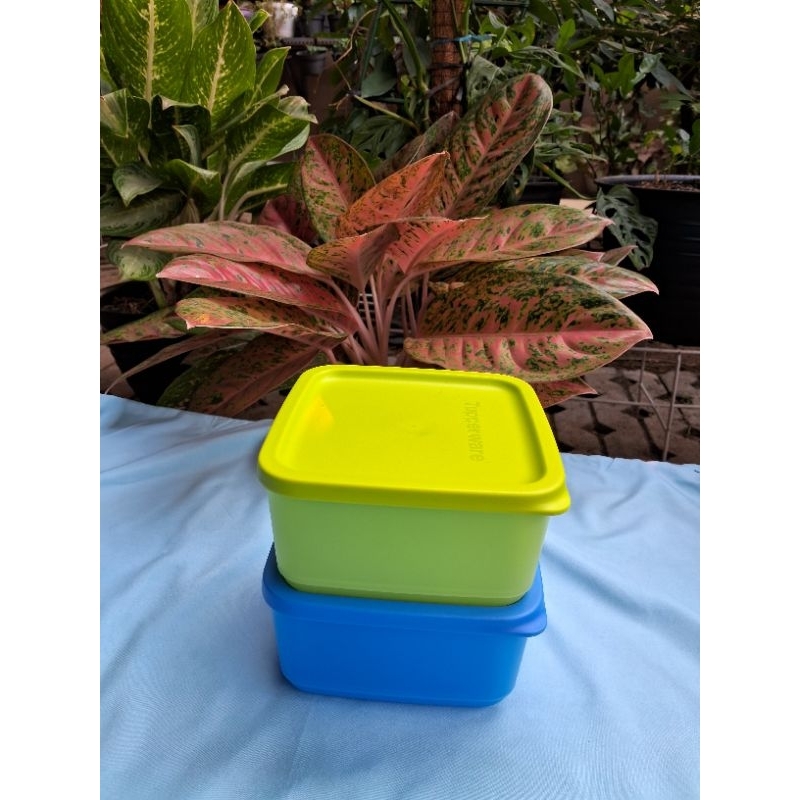 Jual TUPPERWARE Small Square Round 650 ml (2 pcs) | Shopee Indonesia