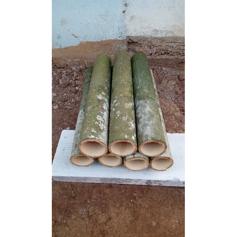 Jual 1 Ruas Bambu Apus Tua/ Bahan layangan dan kerajinan 60 cm | Shopee ...