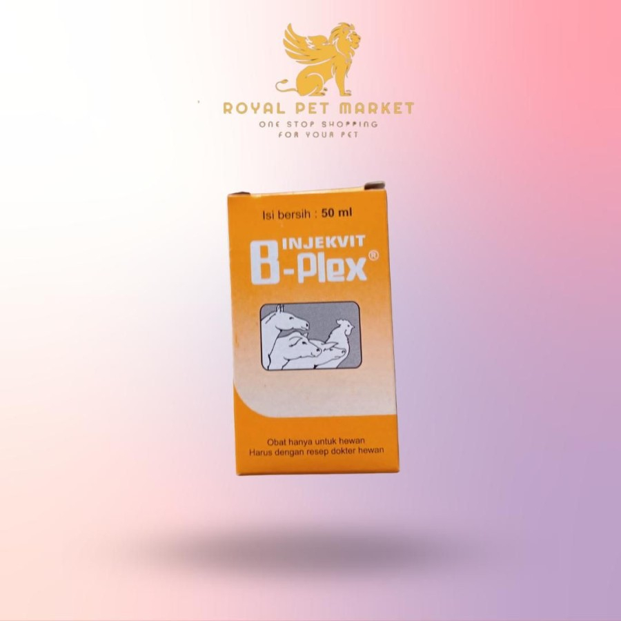 Jual RPM Vitamin Injeksi B COMPLEX 100 ml / 50 ml / 20 ml | Shopee ...