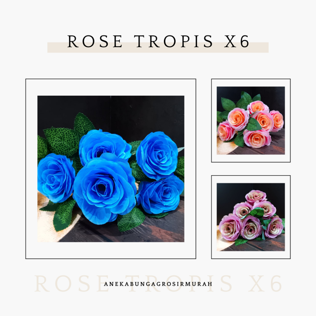 Jual Bunga Mawar Rose Tropis Cabang 6 / Ecer RT6 | Shopee Indonesia
