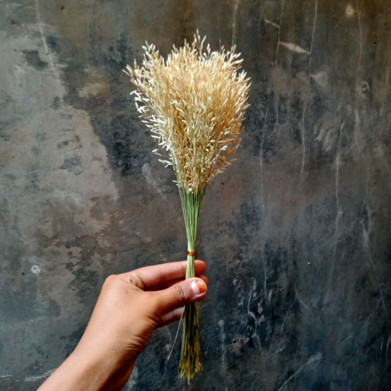 Jual SPRINGKLE PUTIH (isi 40 btg) | Shopee Indonesia