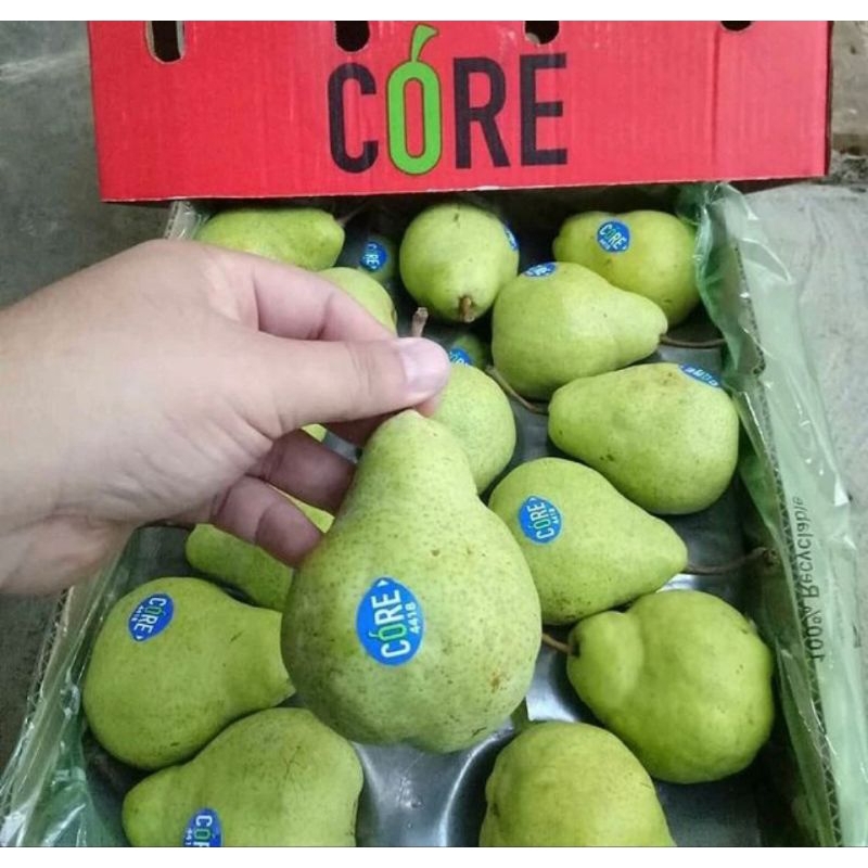 Jual Pir Packham atau Pir Hijau Impor 500gr - 1000gr | Shopee Indonesia