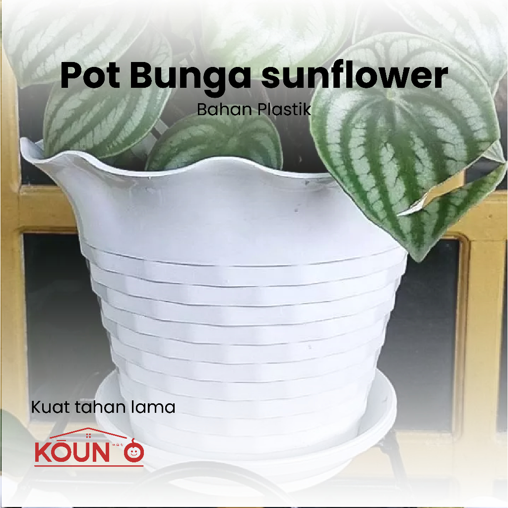 Jual Pot Gelombang Sunflower Plastik Pot Bunga Cantik Murah Tebal Dan ...