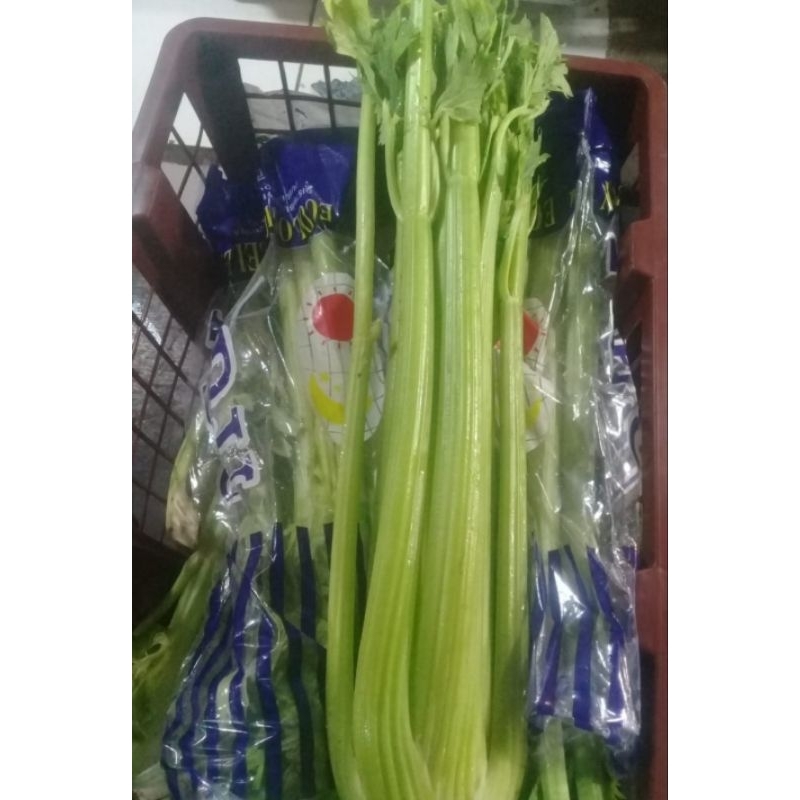 Jual celery stick import / seledri stick import segar 1 kg | Shopee ...