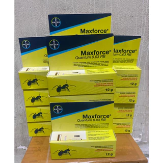 Jual maxforce quantum Harga Terbaik & Termurah Juli 2024 | Shopee Indonesia