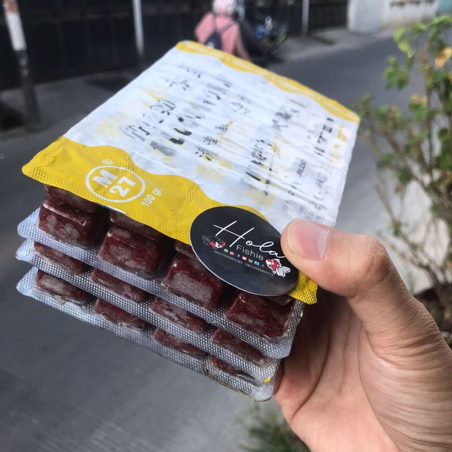 Jual (GOJEK) CACING BEKU 5PCS PIONEER / MAKANAN FROZEN BLOODWORM ...