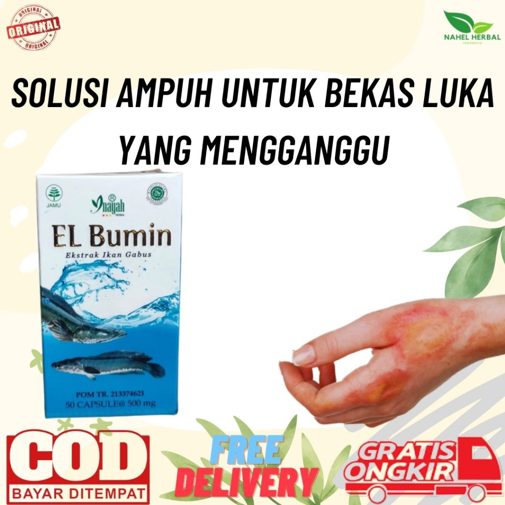 Jual [Cod] Kapsul Kutuk Elbumin Minyak Ikan Gabus - Meningkatkan Kadal ...
