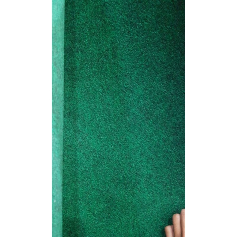 Jual Karpet Lantai Bulu Beludru Polos Meteran Lbr 2m Pjg 50cm Dekorasi ...