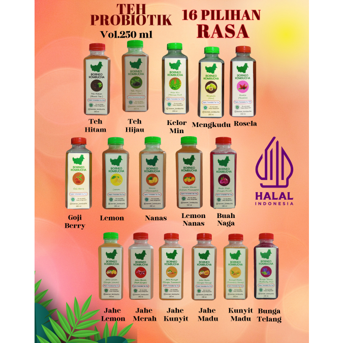 Jual BORNEO KOMBUCHA TEH PROBIOTIK FERMENTASI HALAL BUAH DAN REMPAH ...