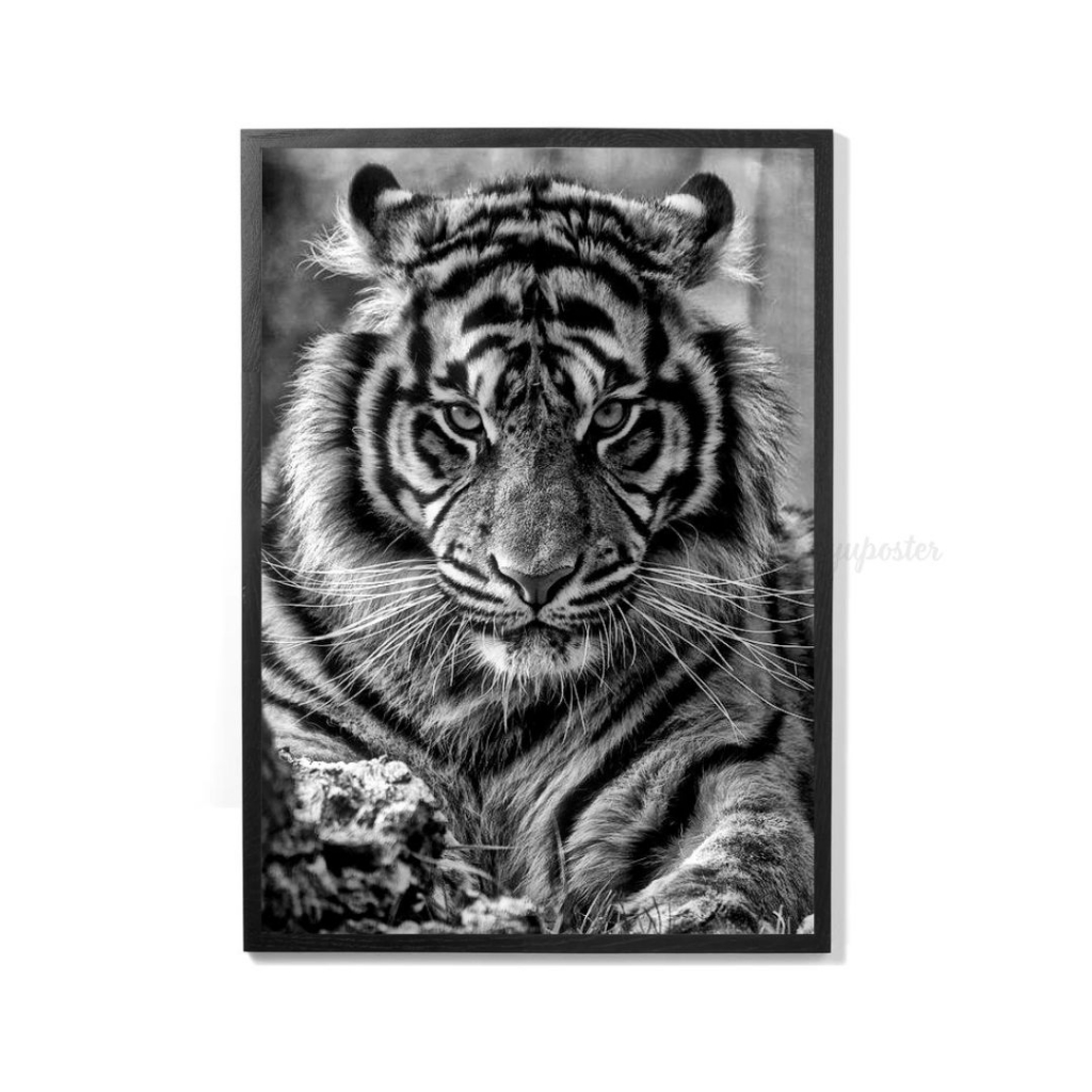 Jual Hiasan Dinding Poster "Harimau Putih" Art Print Bingkai Kayu ...