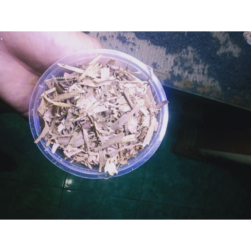 Jual daun bambu kering media tanam 1kg | Shopee Indonesia