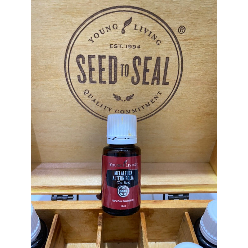 Jual Tea Tree Young Living Essential Oil 15ml | Shopee Indonesia
