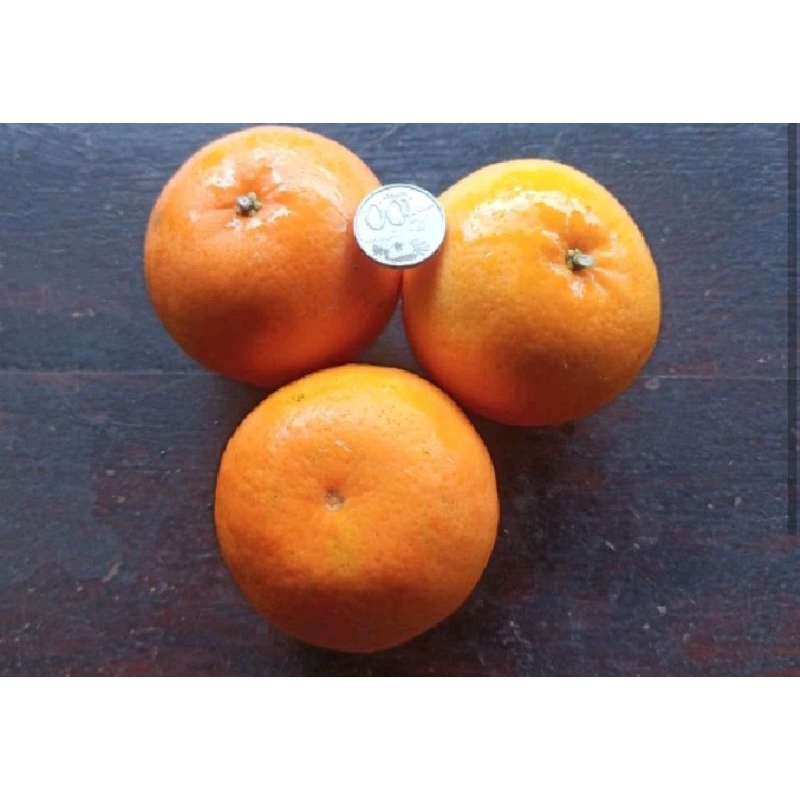 Jual Jeruk Mandarin Murcot | Shopee Indonesia