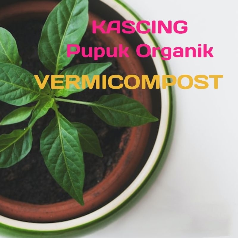 Jual Pupuk Organik Kascing Vermikompos 1 kg | Shopee Indonesia