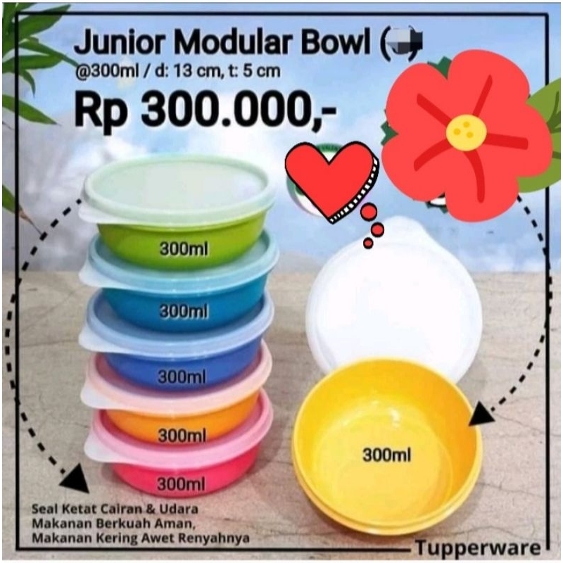 Jual Tupperware Junior Modular Bowl | Shopee Indonesia