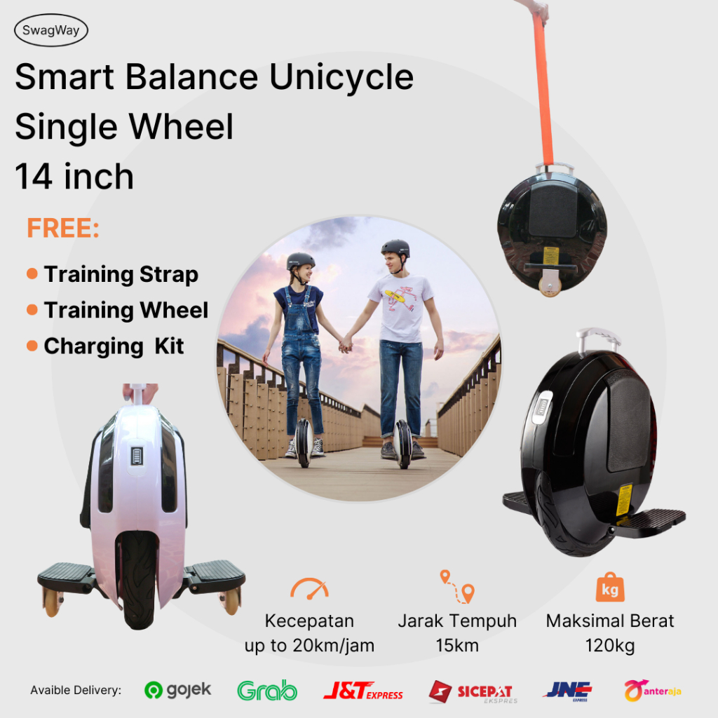 Jual Single wheel EUC Electric Unicycle Scooter Smart Balancing 14inch ...