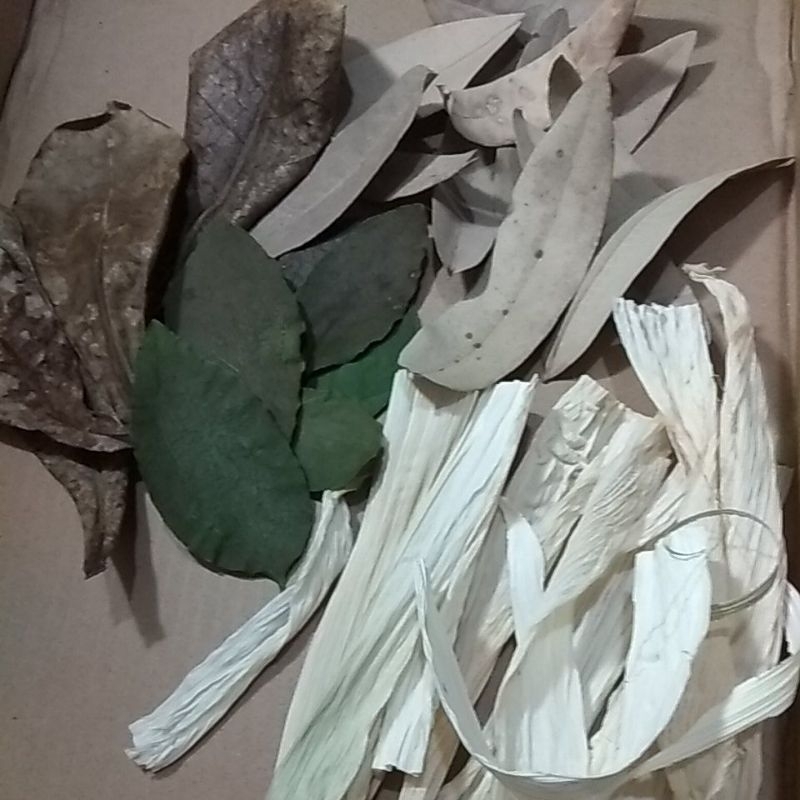 Jual Daun kering Ranting Kolase daun Kulit pohon prakarya diy daun dan ...