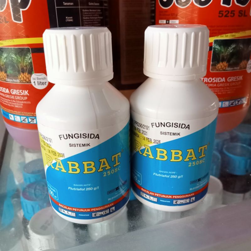 Jual Fungisida Rabbat 250 SC 100ml Untuk mengendalikan penyakit pucuk ...