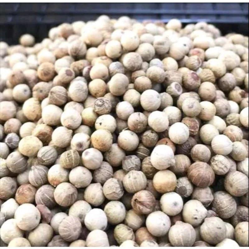 Jual MERICA BIJI LADA PUTIH SAHANG 100GRAM ORIGINAL 100% READY ...
