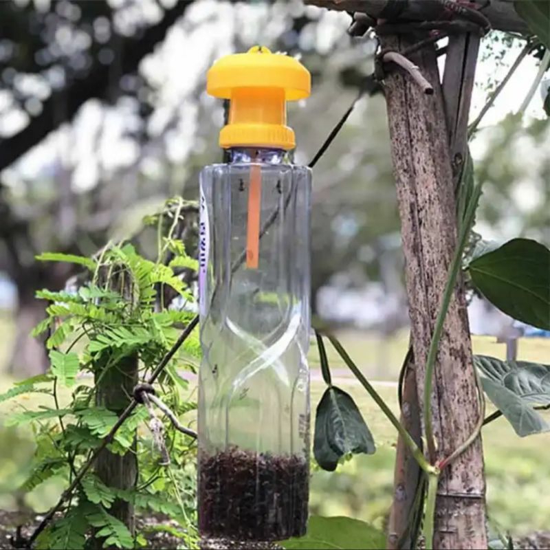 Jual Petrogenol Atraktan Lalat Perangkap Lalat Buah | Shopee Indonesia