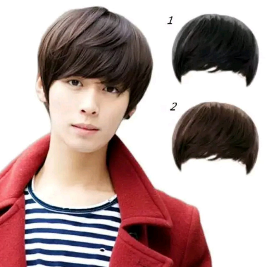 Jual Wig Rambut Palsu Pria Dewasa Model Cowok Korea Free Hairnet Wigcap ...