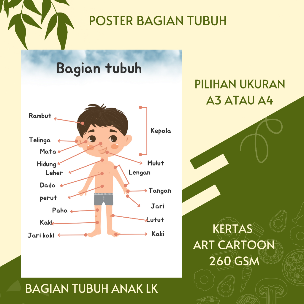 Jual POSTER EDUKASI ANAK desain unik | Shopee Indonesia