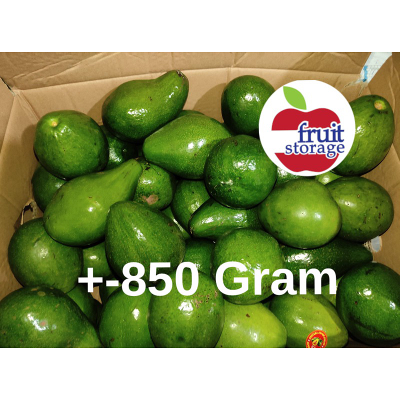 Jual Alpukat Mentega Super fresh buah lokal Avocado Alpokat | Shopee ...