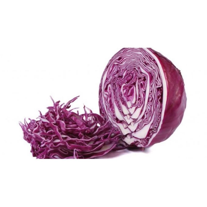 Jual kol kubis unggu segar | Shopee Indonesia