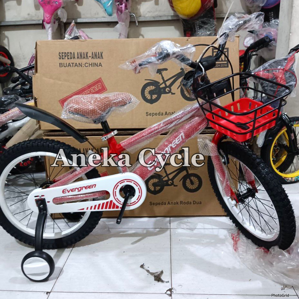 Jual Sepeda Anak Roda Empat Cowok BMX Evergreen Evans 18 Keranjang ...