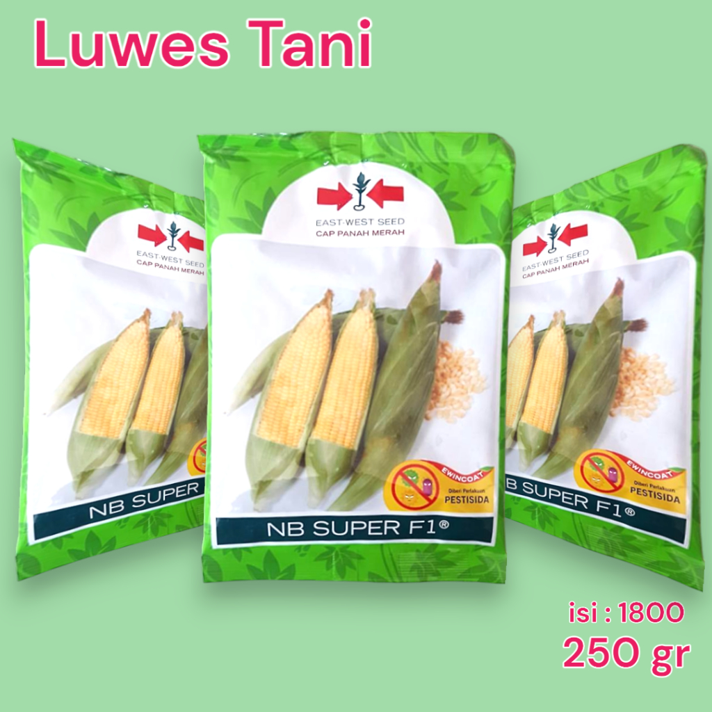 Jual nb super f1 (kemasan Besar) 200gr benih jagung manis cap panah ...