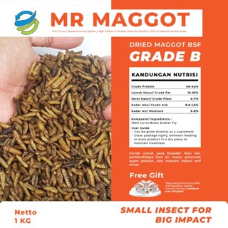 Jual MR MAGGOT - Maggot Kering Grade B 1 kg | Shopee Indonesia