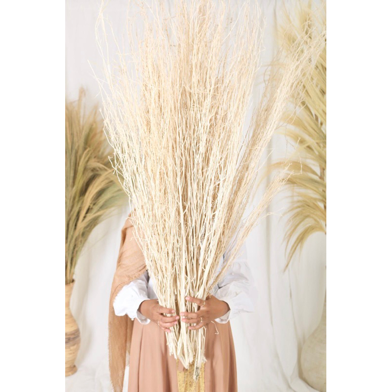 Jual ranting Ranting Putih Hiasan Rumah Dekorasi Buket Bunga Kering ...