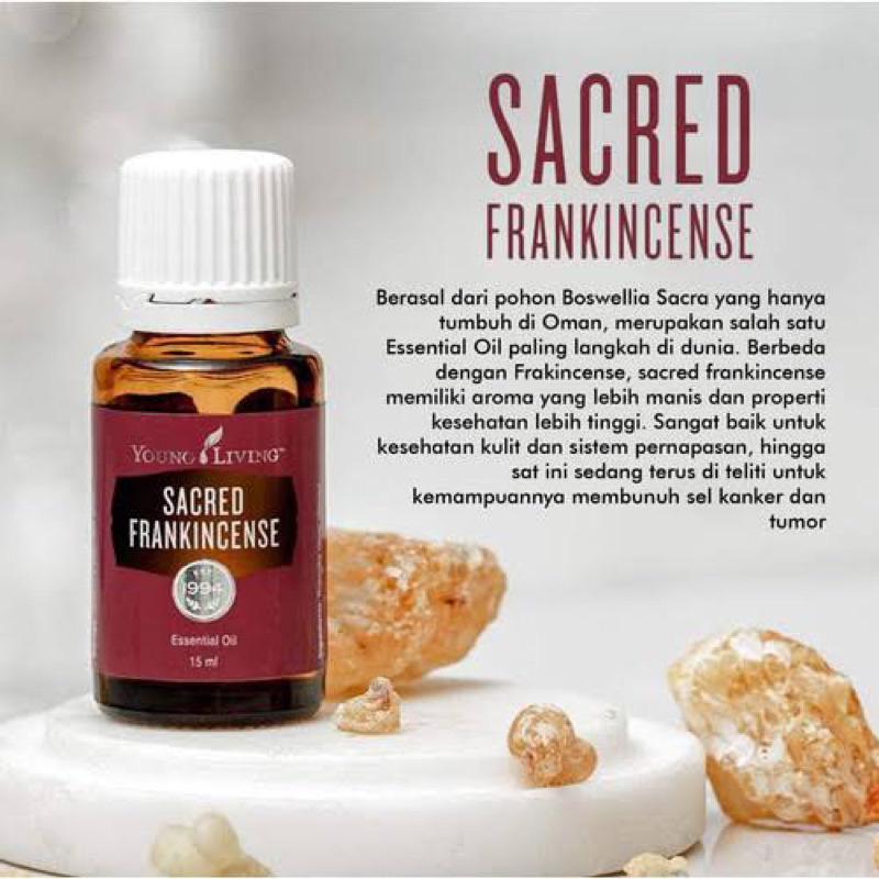 Jual Sacred Frankincense Young Living Essential Oil 15ml | Shopee Indonesia