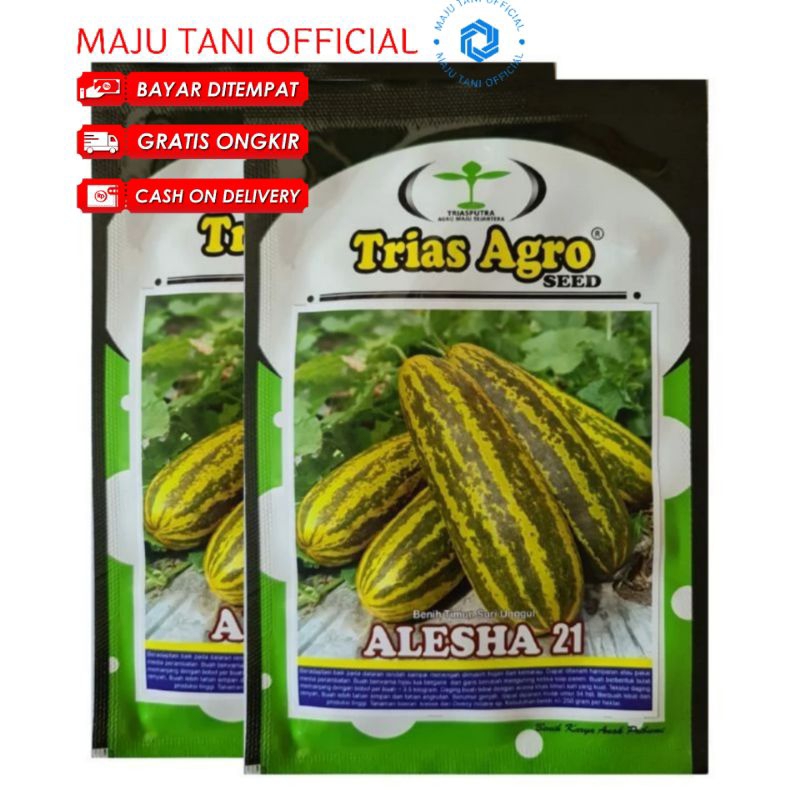Jual Benih buah Timun Suri blaster Alesha 21 /Tipe Buah Wangi, rasa ...