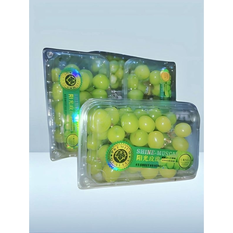 Jual Anggur Hijau / Anggur Muscat / Muscat Grapes 500gr | Shopee Indonesia