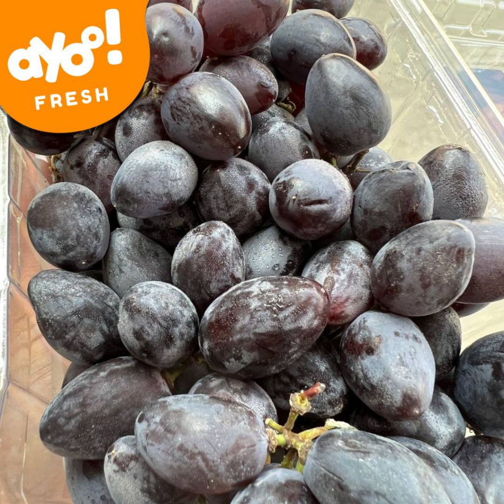 Jual Anggur Black Beauty 500 g Pack | Shopee Indonesia