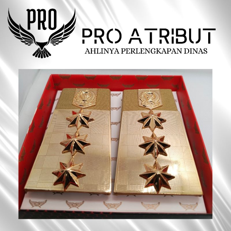 Jual PRO ATRIBUT - PANGKAT PDH GUBERNUR CUSTOM EKSKLUSIF | Shopee Indonesia