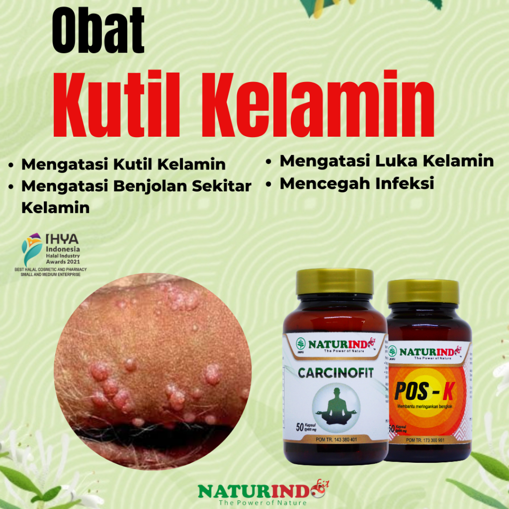 Jual Obat Kutil Kelamin Asli Mujarap HPV Kondiloma Akuminata Genital ...