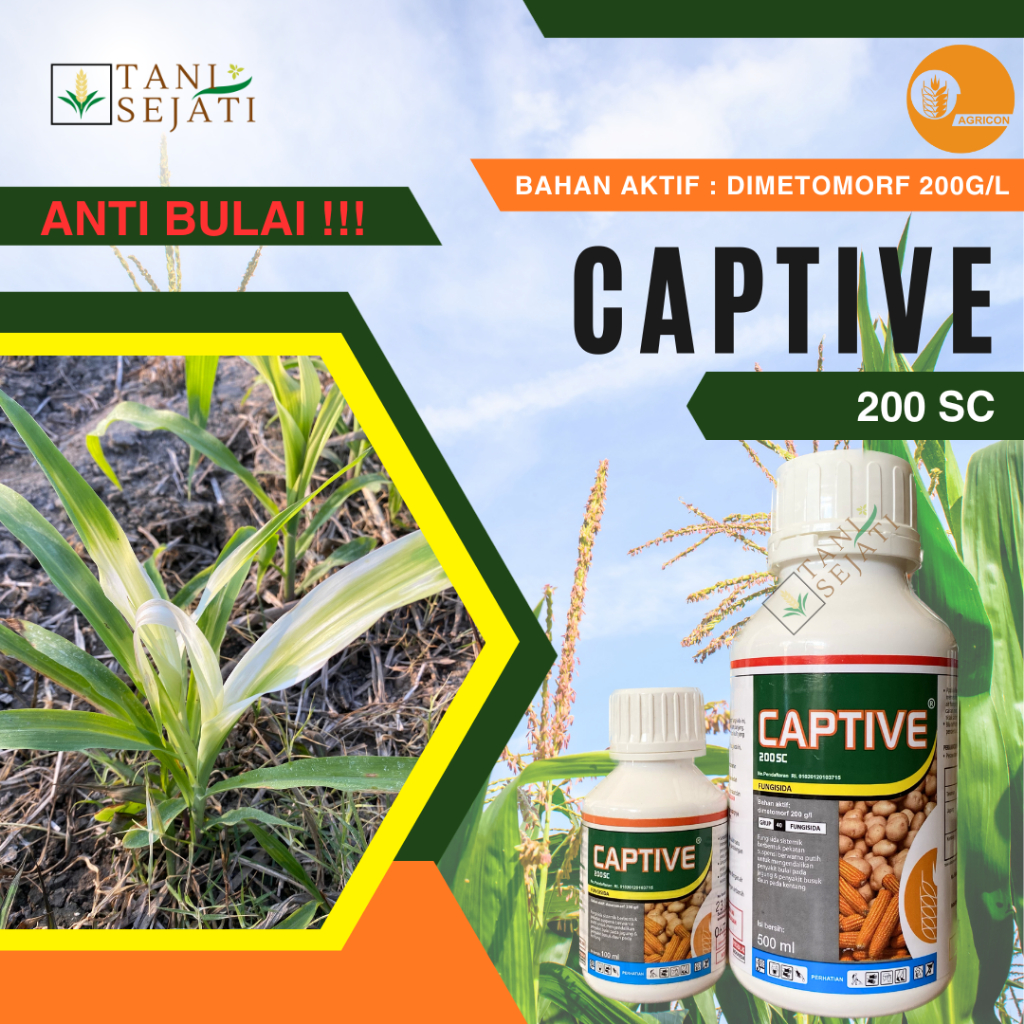 Jual Captive 200 SC | Fungisida | Anti Bulai | Penghangat Tanaman ...