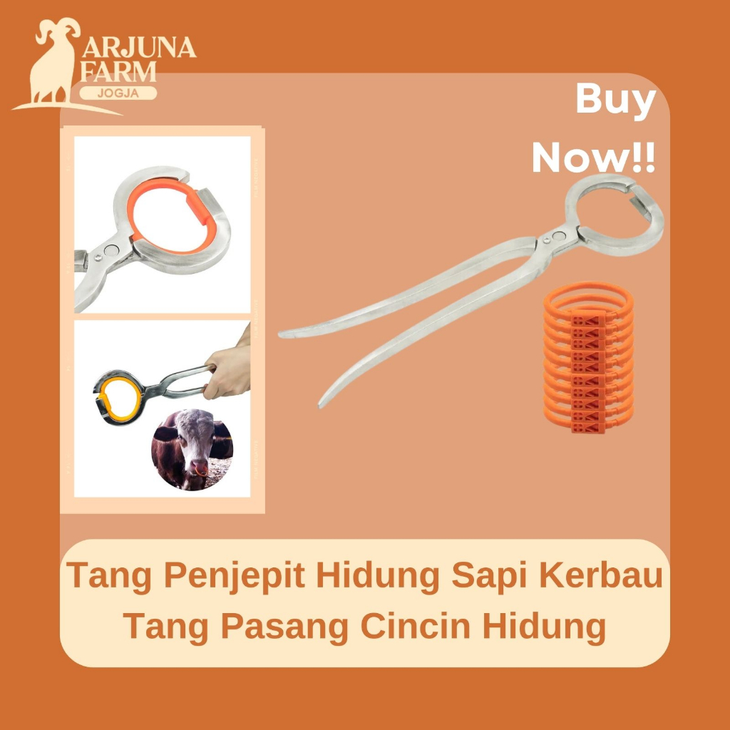 Jual Tang Pasang Tindik Hidung Sapi Tang Penjepit Cincin Plastik Hidung ...
