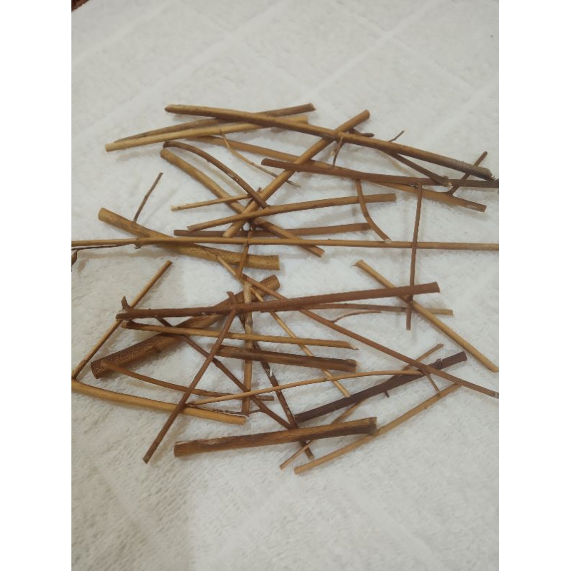 Jual Ranting kering pohon kayu bahan prakarya | Shopee Indonesia
