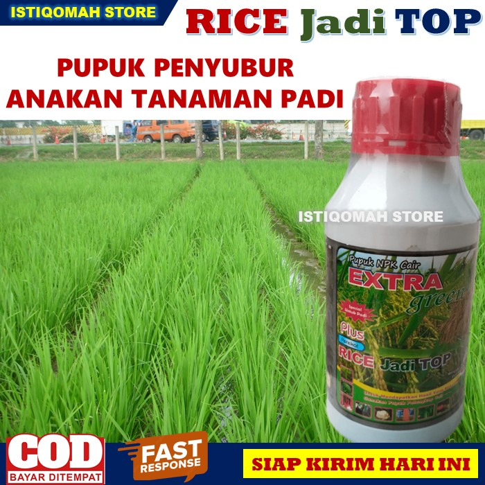 Jual Pupuk Penyubur Anakan Tanaman Padi Jadi Banyak dan Subur RICE JADI TOP 500ML Pupuk ...