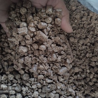 Jual Bungkil Sawit / Bungkil Sawit Giling & Pellet Sawit Pakan Sapi ...