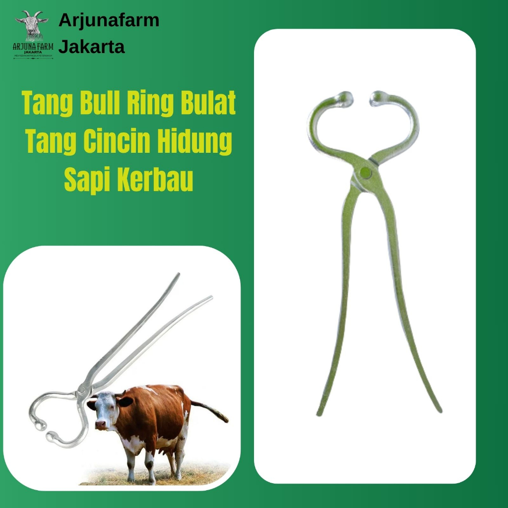 Jual Tang Penjepit Hidung Sapi kerbau Bull Ring Cincin Hidung Sapi ...