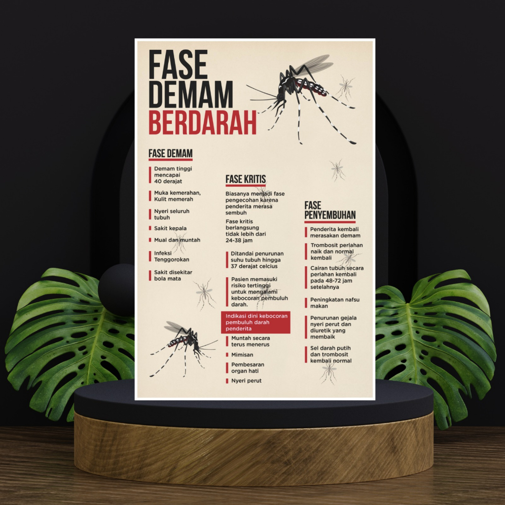 Jual Poster Kesehatan Fase Demam Berdarah | Shopee Indonesia